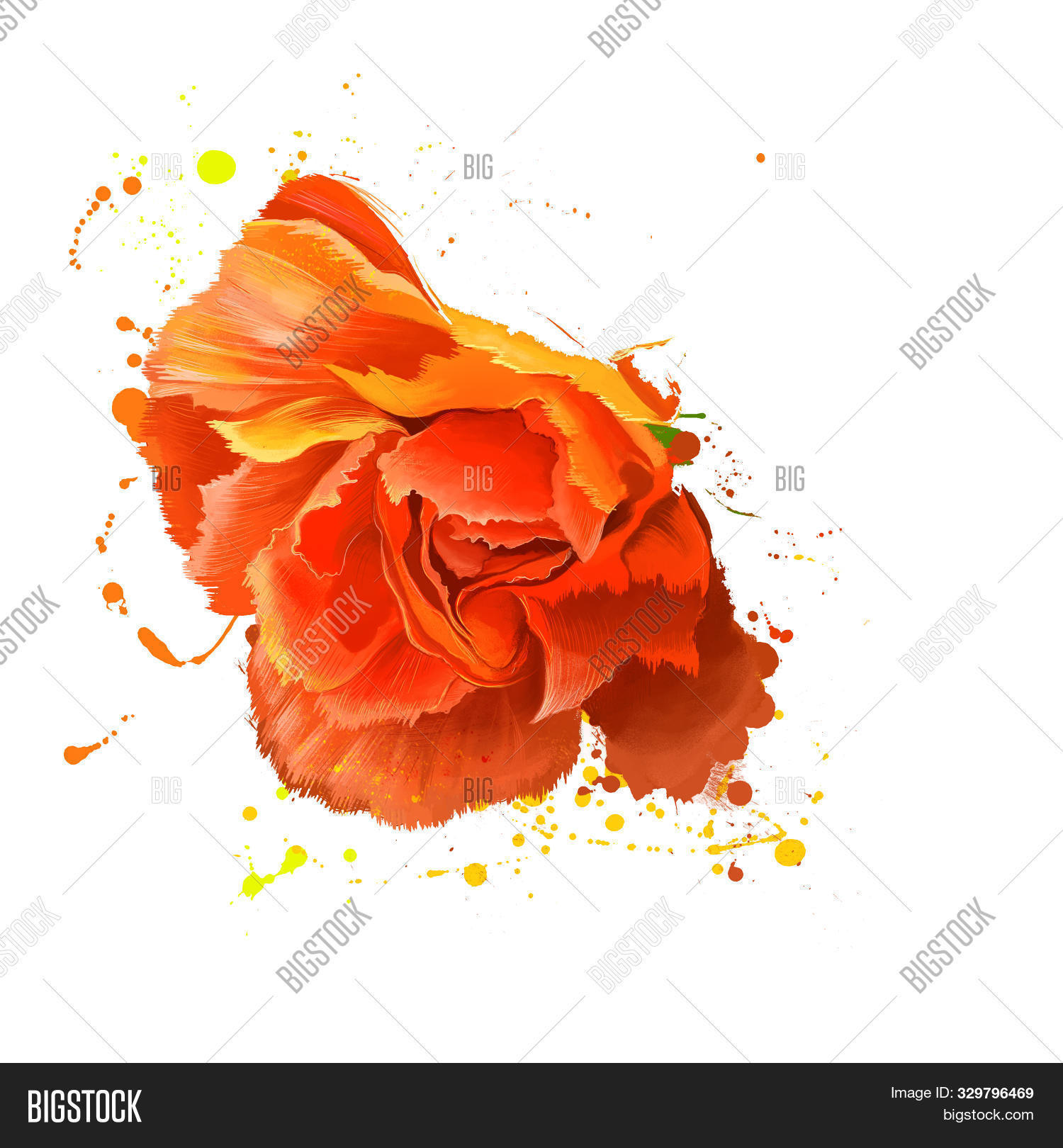 Red Poppy Papaver Image & Photo (Free Trial) | Bigstock