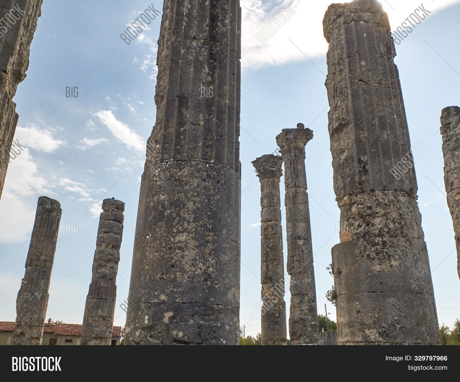 Corynthian Columns Image & Photo (Free Trial) | Bigstock