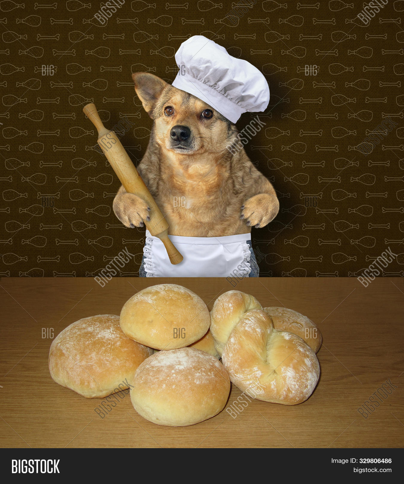 Dog Baker Chef Hat Image & Photo (Free Trial) | Bigstock