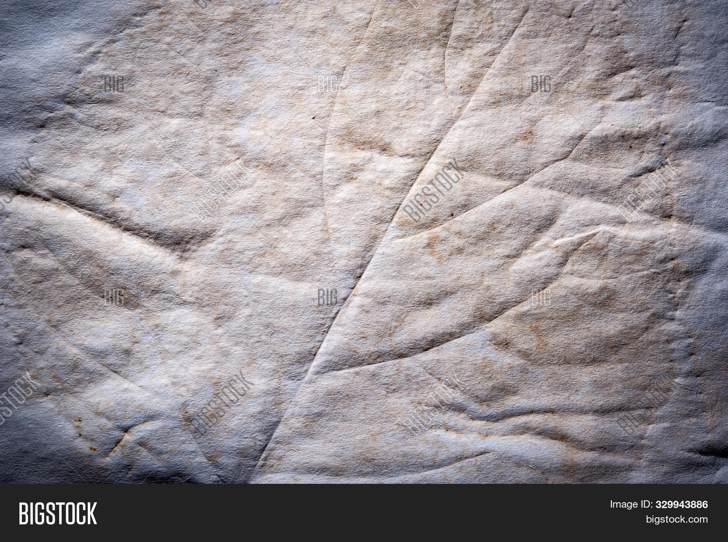 Real Texture Prints Image & Photo (Free Trial) | Bigstock