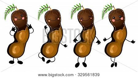Tamarind. Character Vector & Photo (Free Trial) | Bigstock