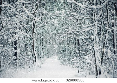 Purple Pathway Images, Illustrations & Vectors (Free) - Bigstock