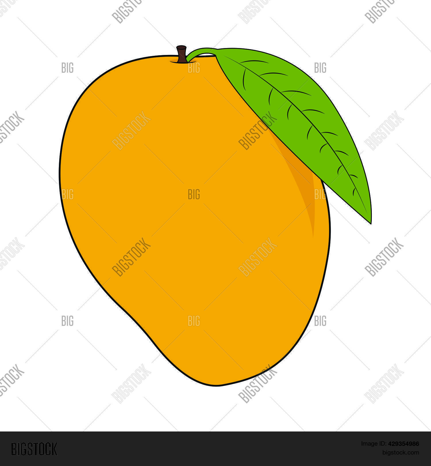 Mango Leaf Vector Vector & Photo (Free Trial) | Bigstock