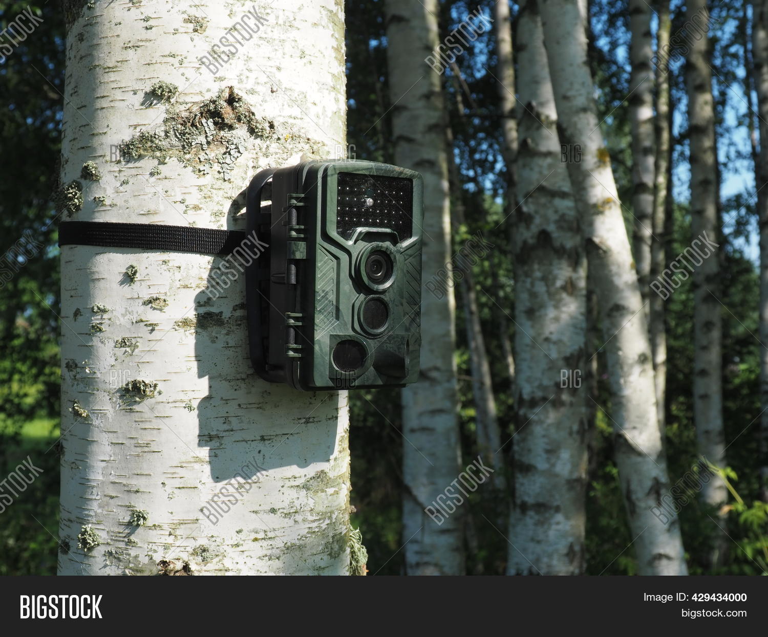 Trail Camera On Tree. Image & Photo (Free Trial) | Bigstock