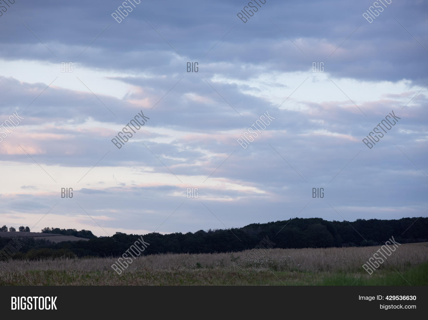 Amazing High Image & Photo (Free Trial) | Bigstock