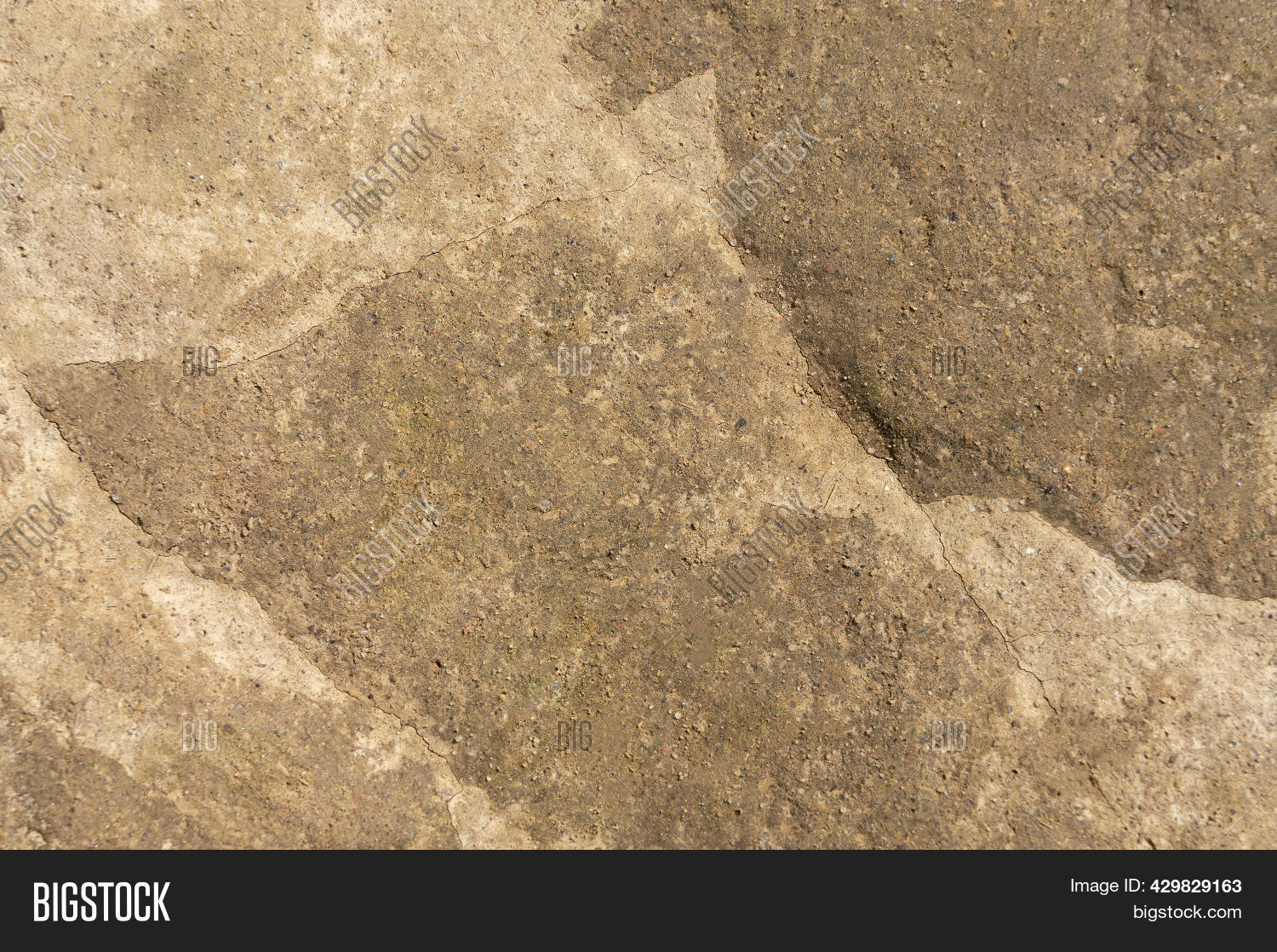 Light Brown Texture Image & Photo (Free Trial) | Bigstock