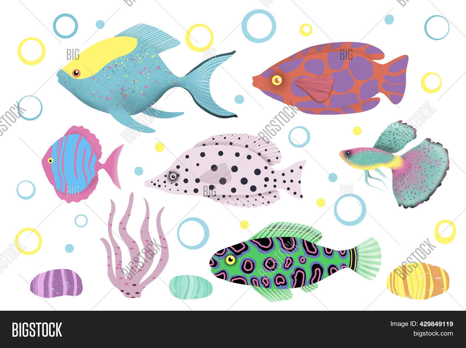 Set Illustrations Fish Image & Photo (Free Trial) | Bigstock