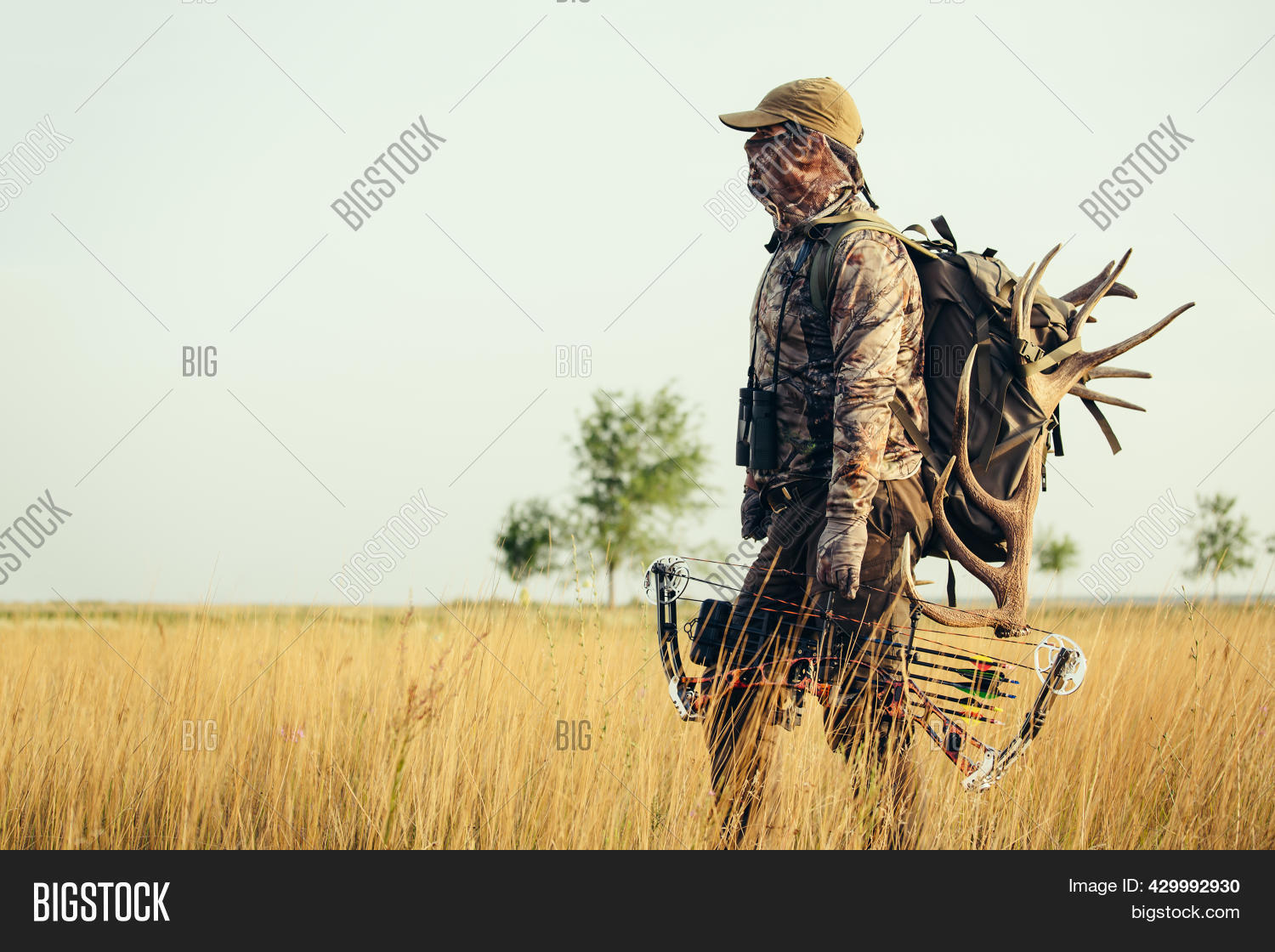 Bow Hunter Tracking Image & Photo (Free Trial) | Bigstock