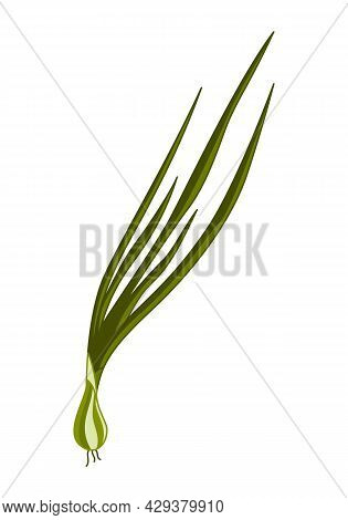 Scallion Icon Flat Vector & Photo (Free Trial) | Bigstock