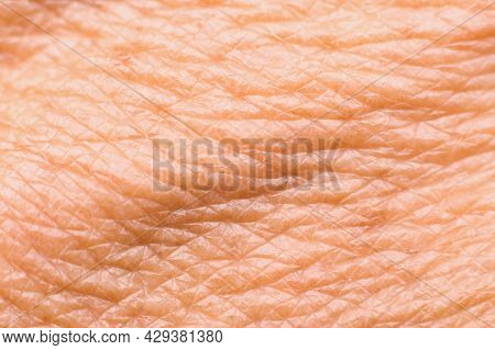 Detailed Texture Aging Image & Photo (Free Trial) | Bigstock