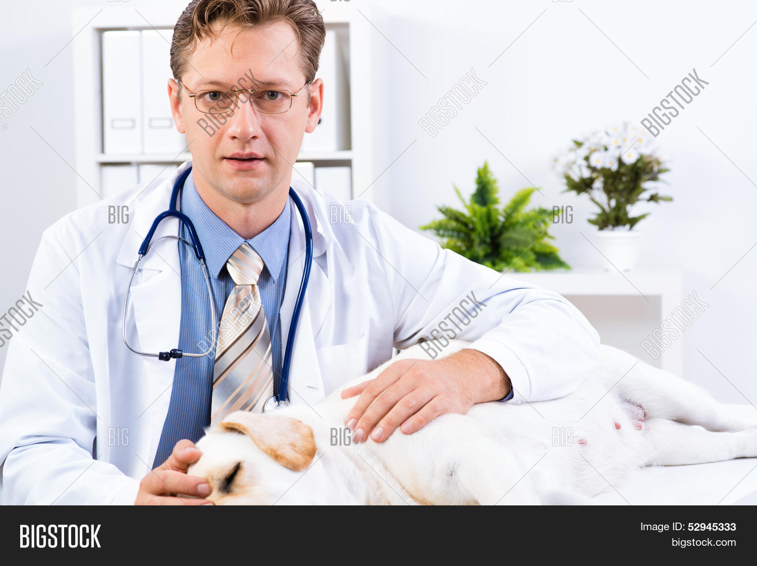 Portrait Male Vet Image & Photo (Free Trial) | Bigstock