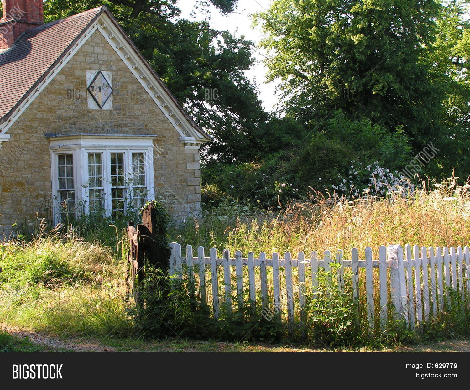 Weeds Overgrown Image & Photo (Free Trial) | Bigstock