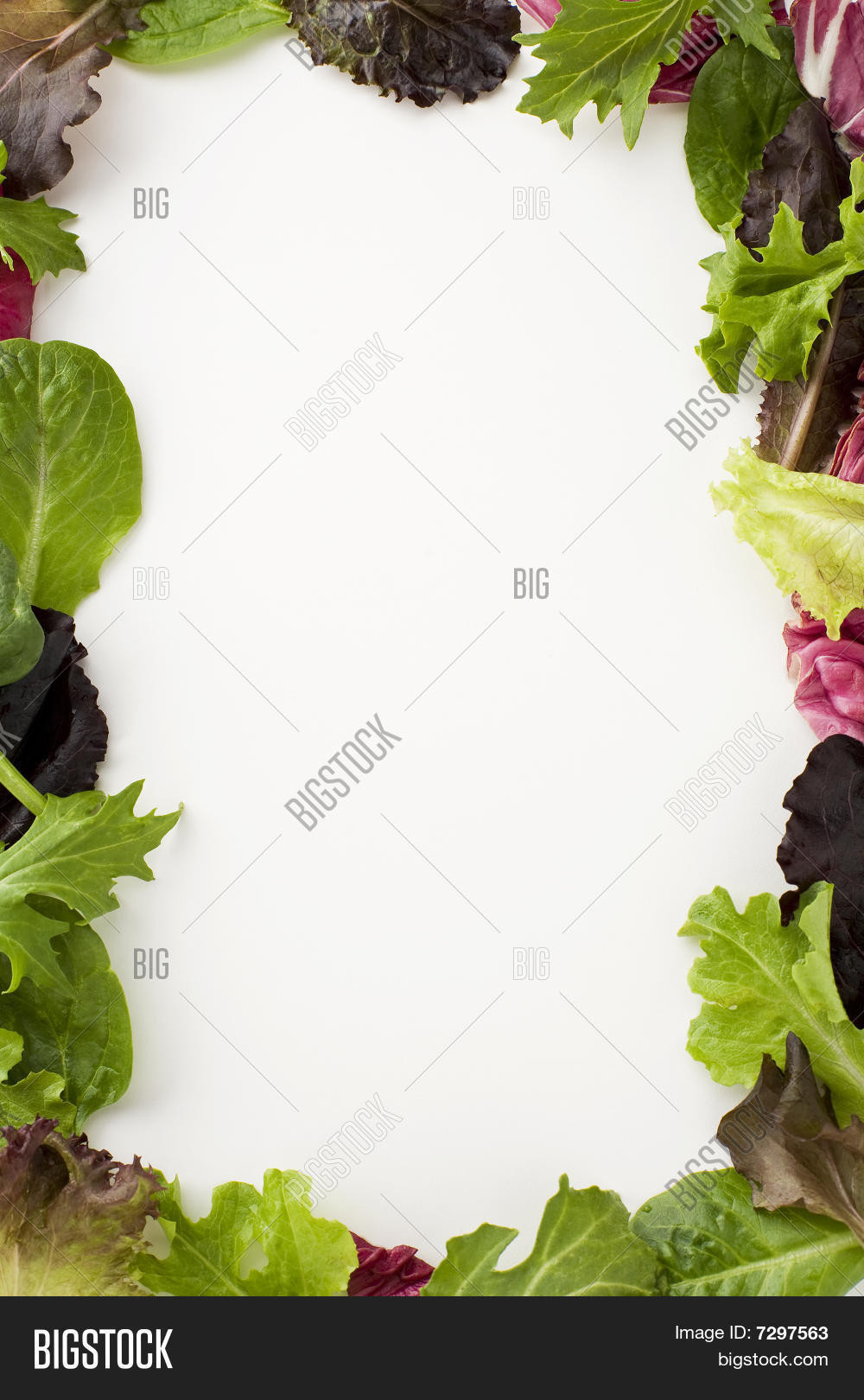 Salad Border Image & Photo (Free Trial) | Bigstock