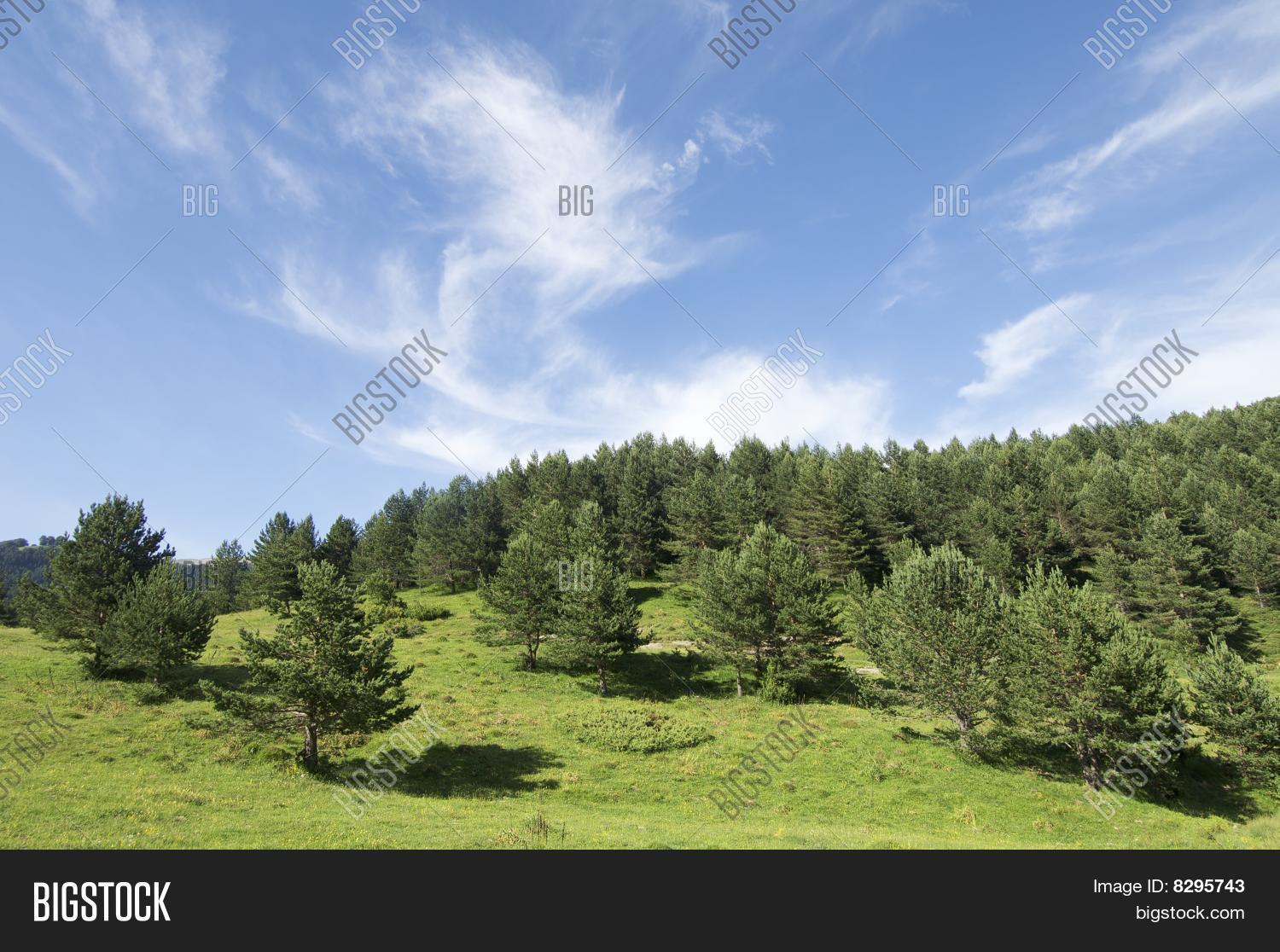 Idyllic Landscape Image & Photo (Free Trial) | Bigstock