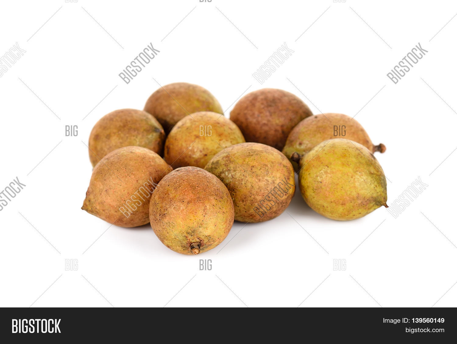 Schleichera Oleosa ( Image & Photo (Free Trial) | Bigstock