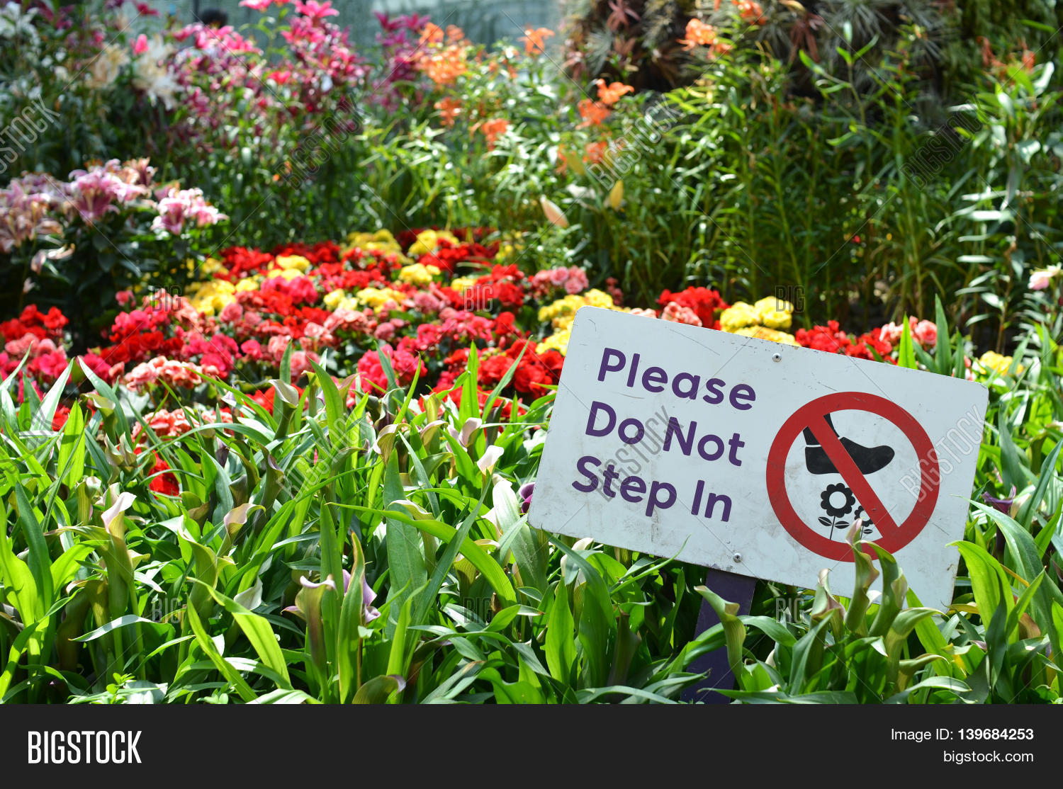 Please Do Not Step Image & Photo (Free Trial) | Bigstock