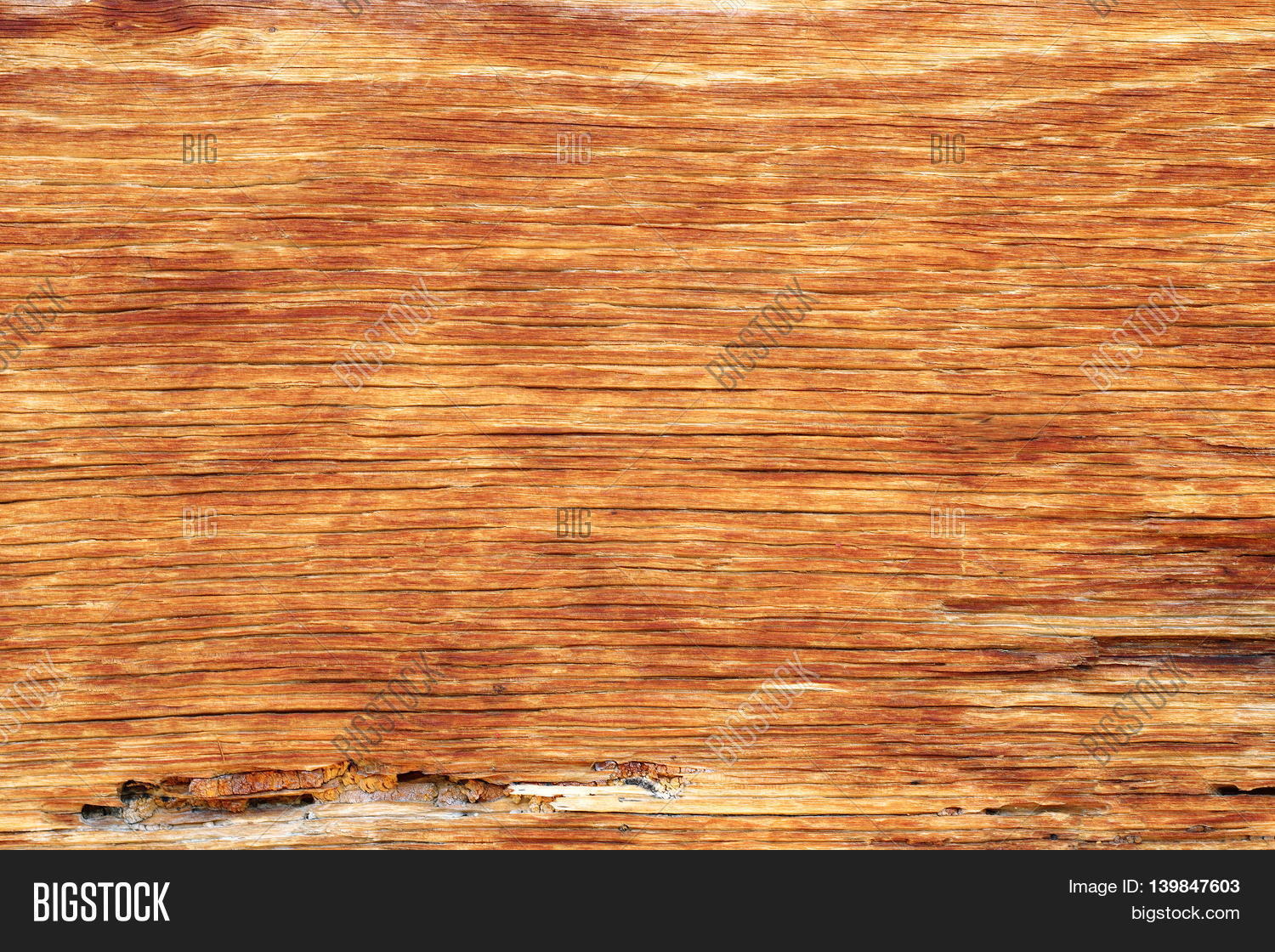 Old Oak Plank Texture Image & Photo (Free Trial) | Bigstock