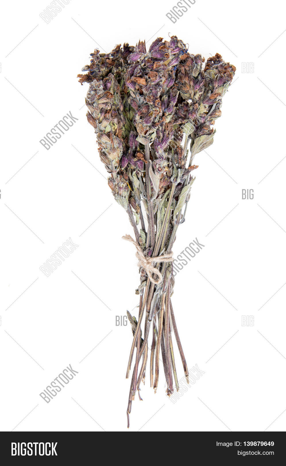 Bunch Dried Sage Image & Photo (Free Trial) | Bigstock