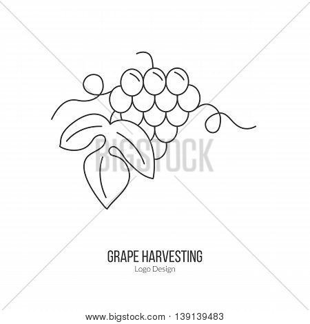 Grapes Leaf. Single Vector & Photo (Free Trial) | Bigstock