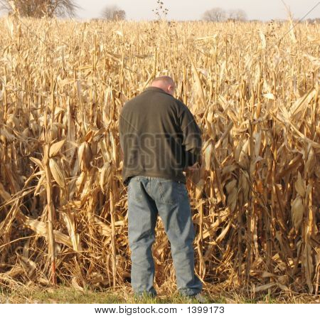 Landmand billede og foto (gratis prøveperiode) | Bigstock