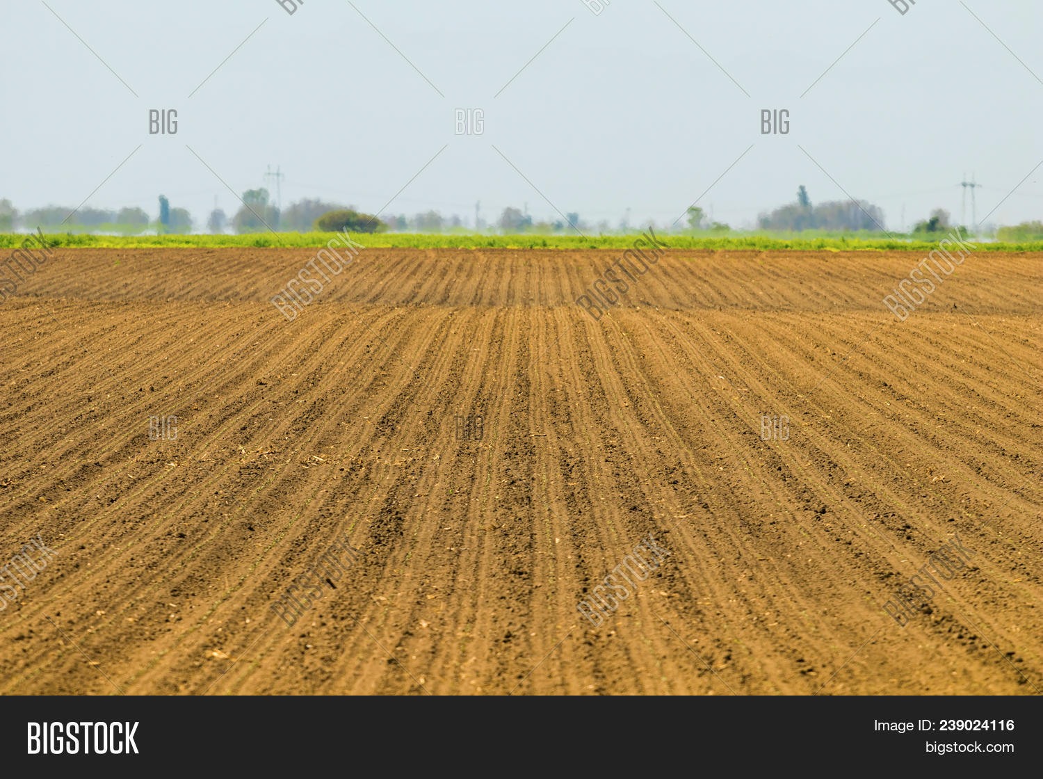 Sowed Field. Image & Photo (Free Trial) | Bigstock