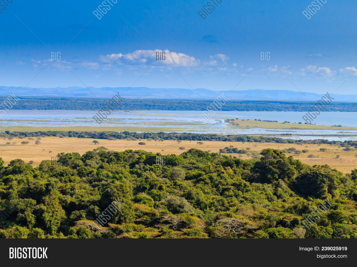 Isimangaliso Wetland Image & Photo (Free Trial) | Bigstock