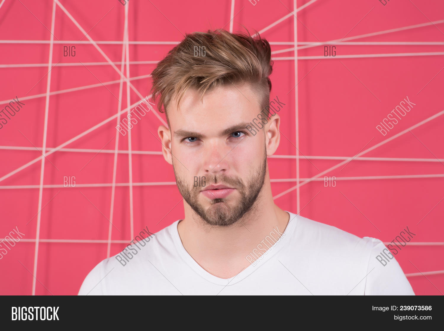 Macho Beard On Image & Photo (Free Trial) | Bigstock