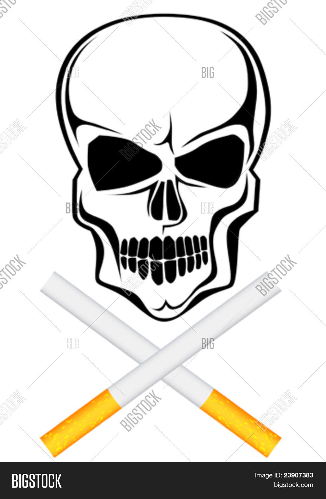 Vector Drawing Vector & Photo (Free Trial) | Bigstock