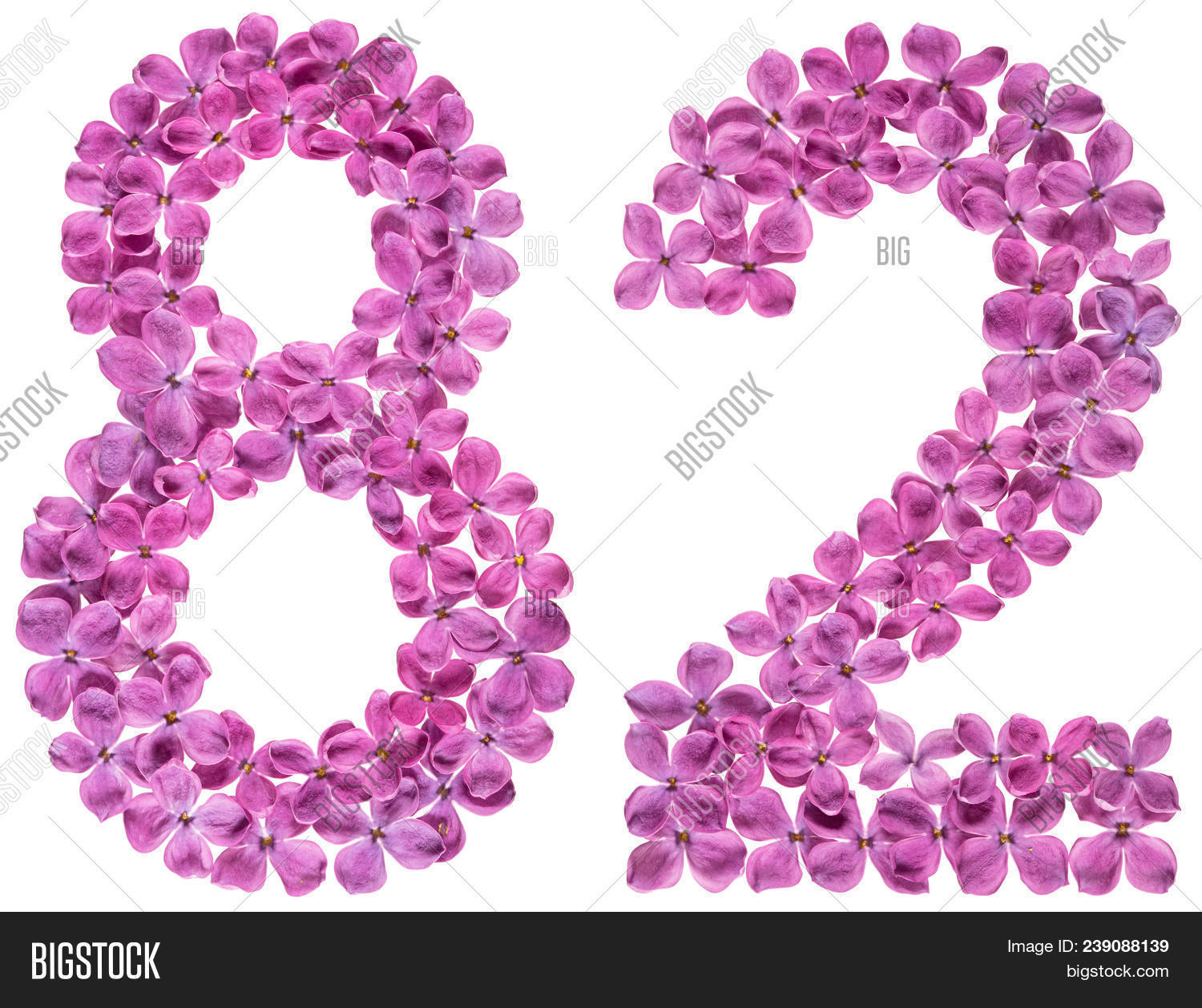 Arabic Numeral 82, Image & Photo (Free Trial) | Bigstock