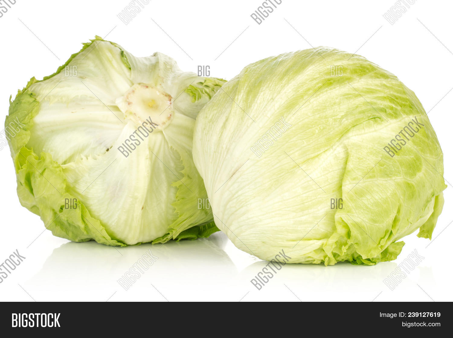 Iceberg Lettuce Image & Photo (Free Trial) | Bigstock