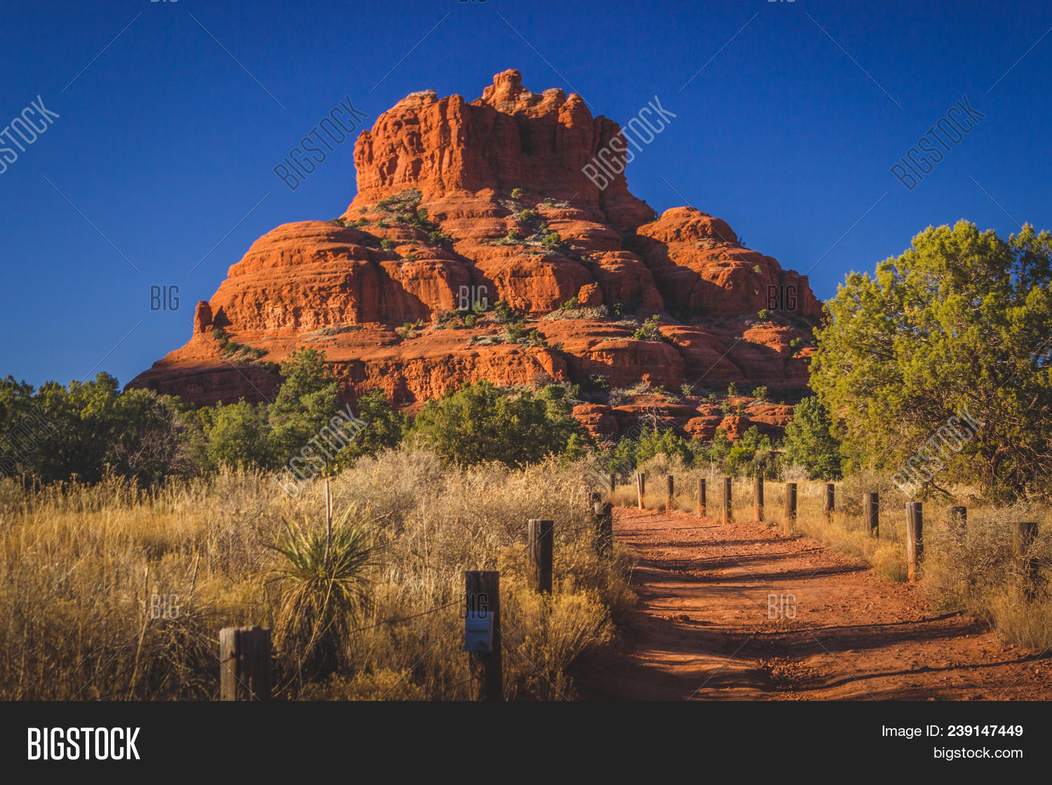 Faro De Bell Rock