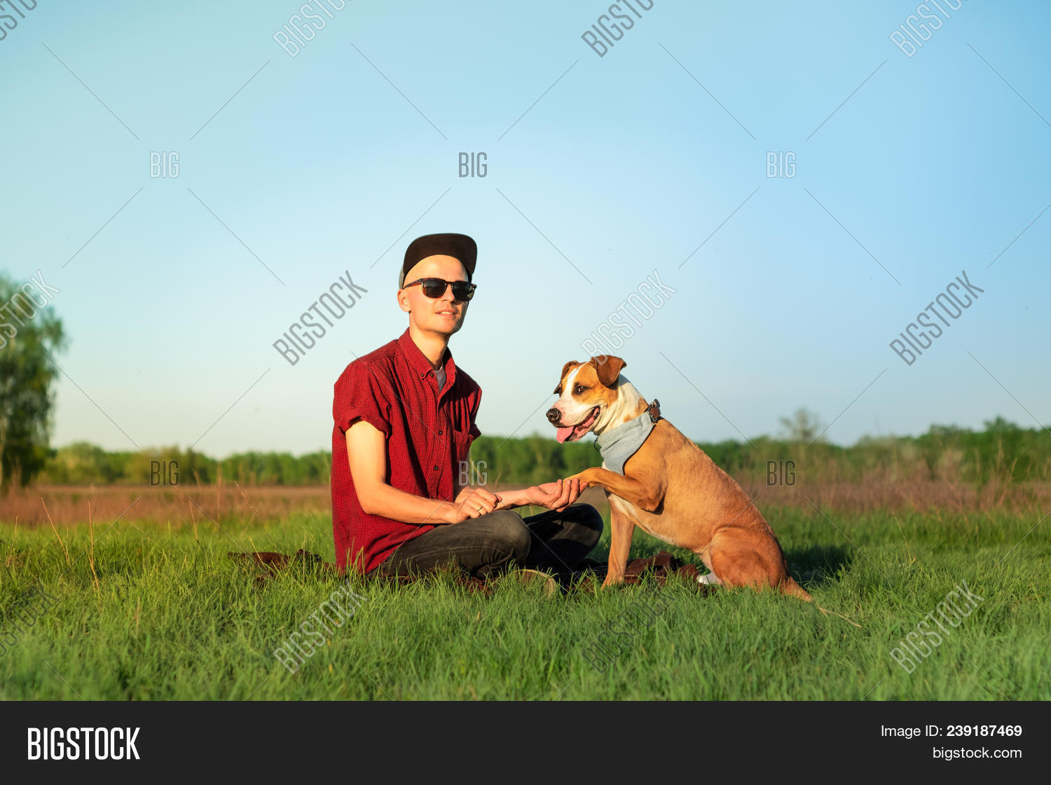 Male Dog Owner Trained Image & Photo (Free Trial) | Bigstock
