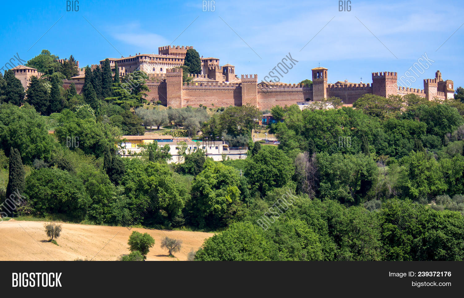 Gradara Castle, Image & Photo (Free Trial) | Bigstock