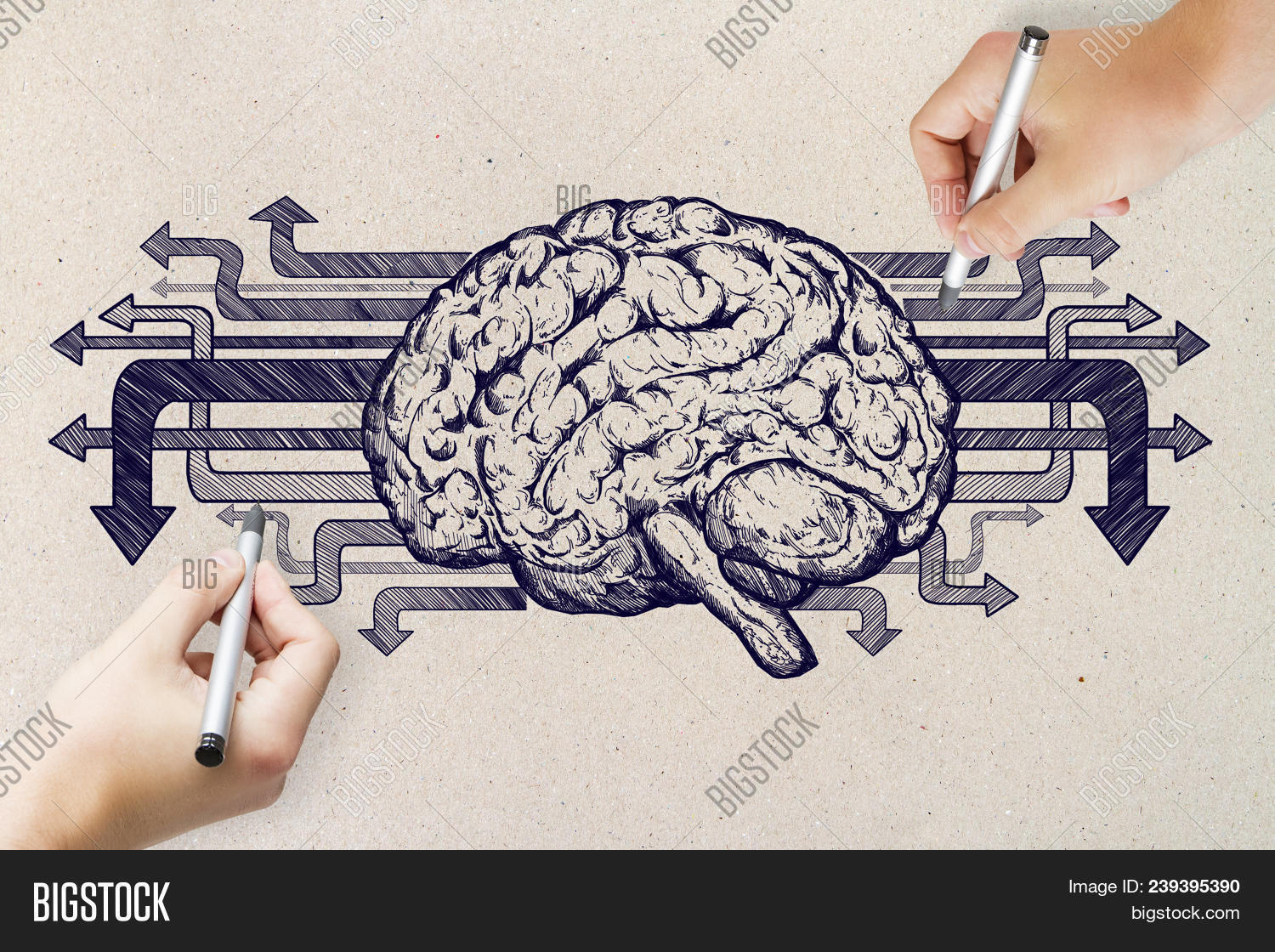 Hand Drawing Creative Image & Photo (Free Trial) | Bigstock