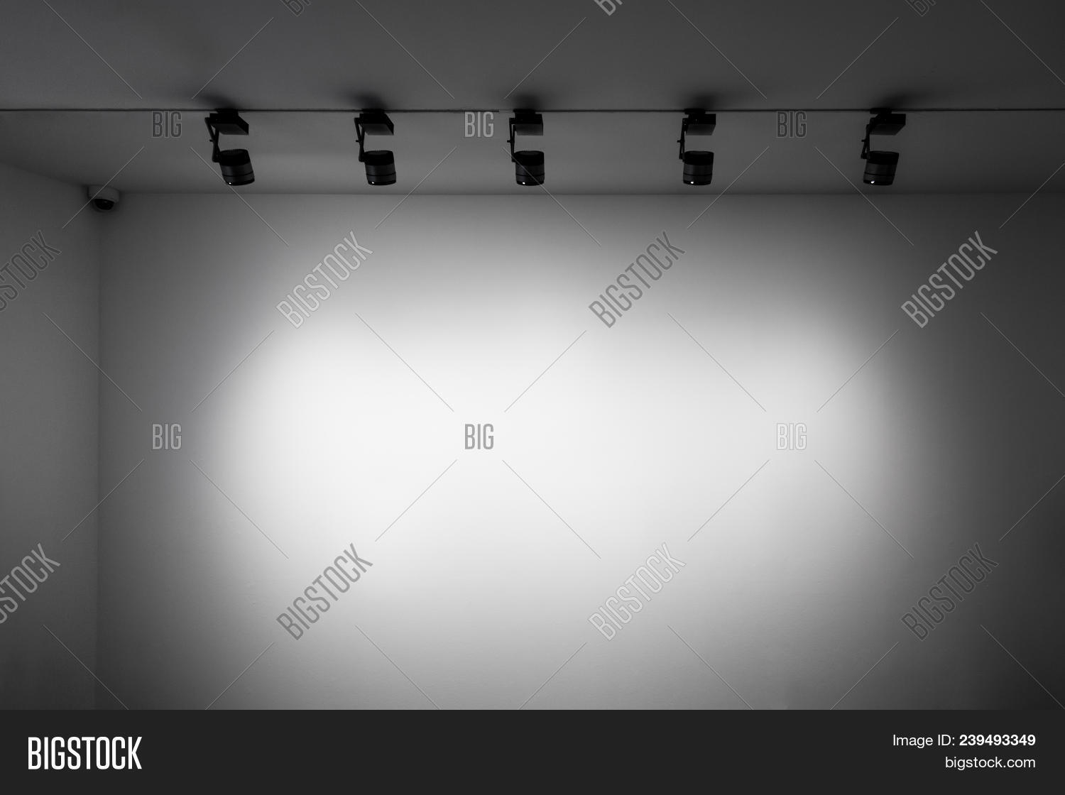 White Empty Gallery Image & Photo (Free Trial) | Bigstock
