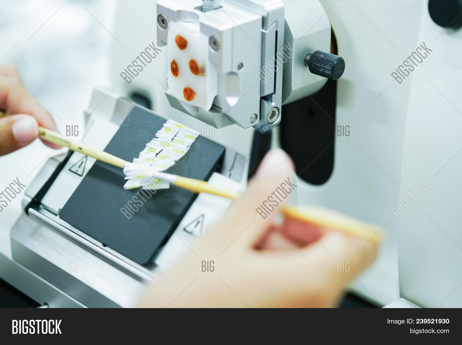 Rotary Microtome Image & Photo (Free Trial) | Bigstock