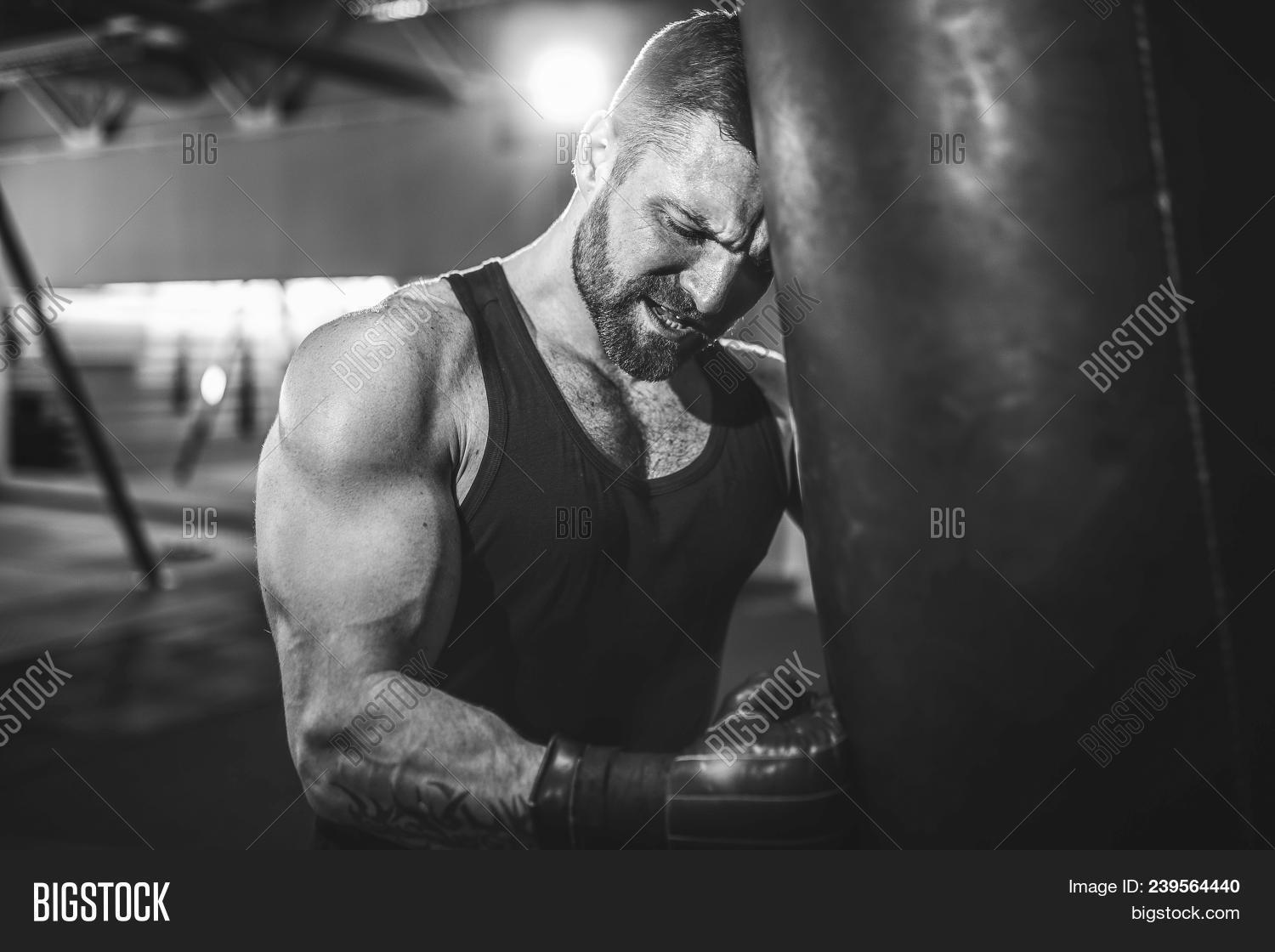 Bearded Male Boxer Image & Photo (Free Trial) | Bigstock