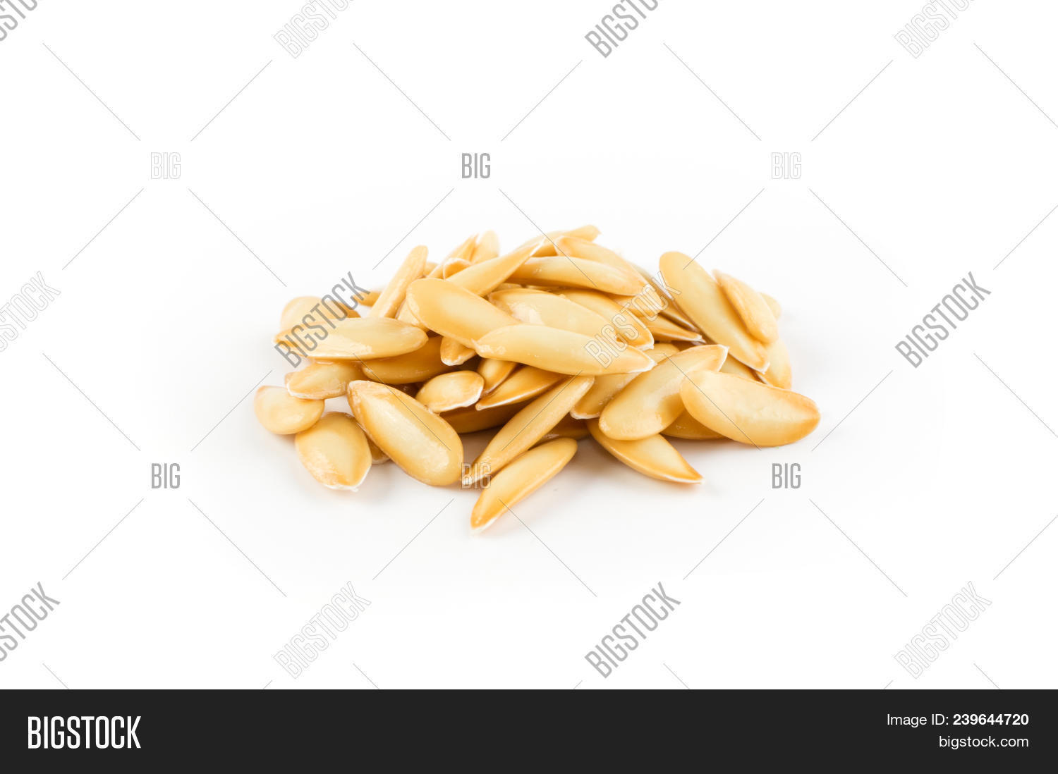 Melon Seeds Isolated Image & Photo (Free Trial) | Bigstock