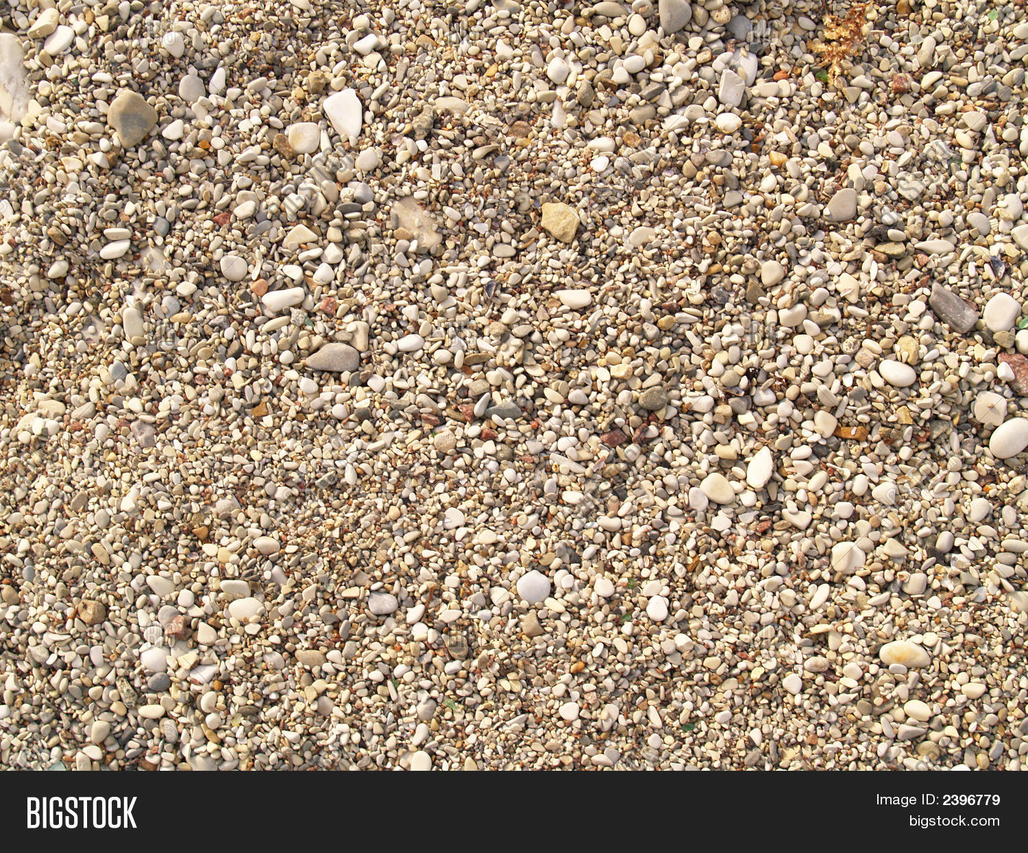Smooth River Stone Image & Photo (Free Trial) | Bigstock