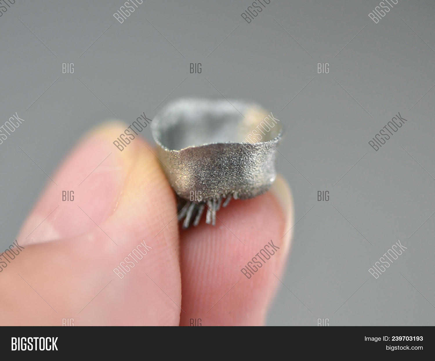 Small Object Printed Image & Photo (Free Trial) | Bigstock