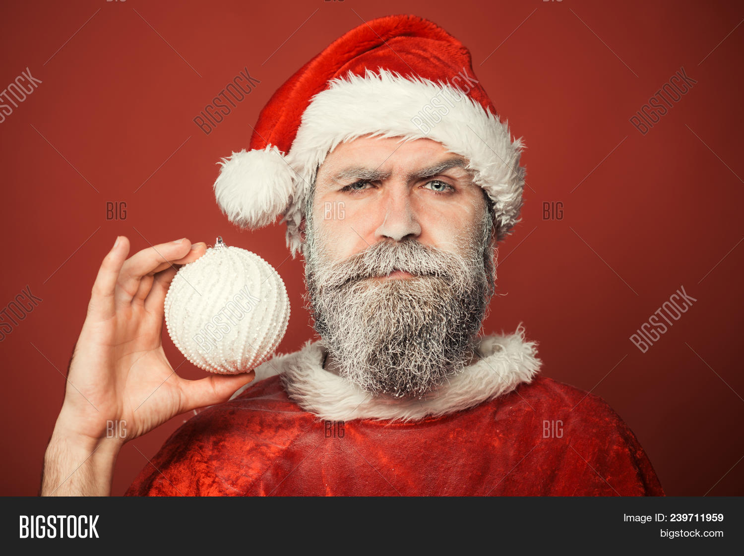 Santa Claus Long Beard Image & Photo (Free Trial) | Bigstock