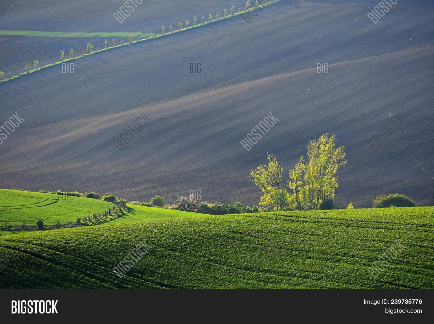 Moravian Tuscany – Image & Photo (Free Trial) | Bigstock