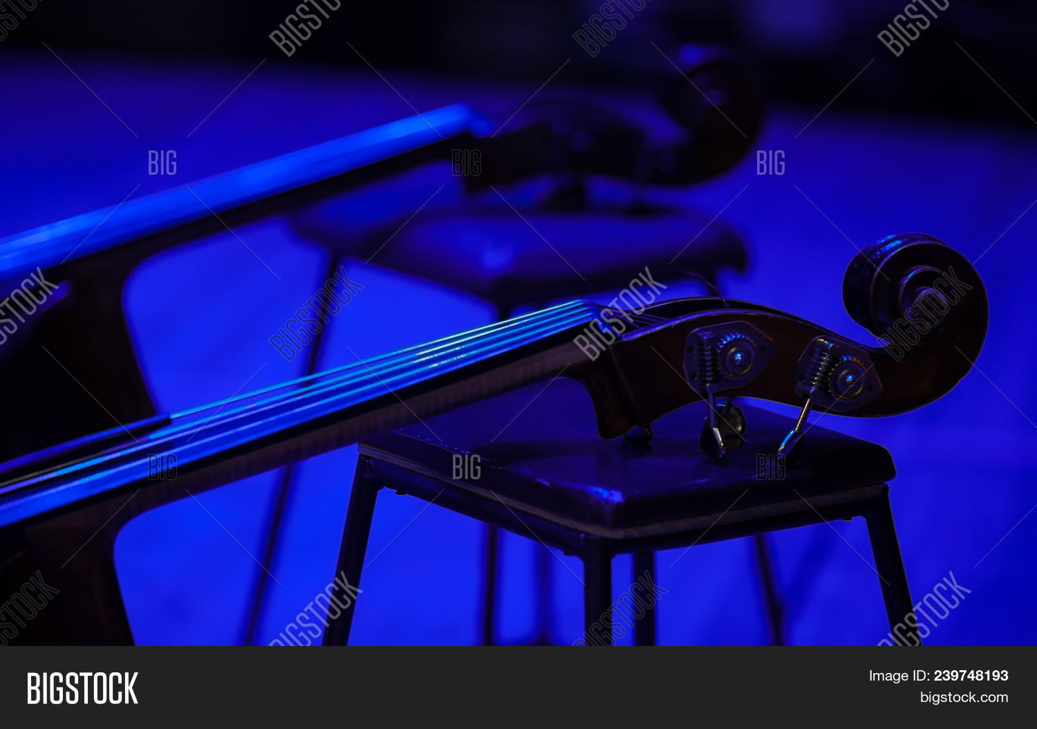 Two Contrabasses Lie Image & Photo (Free Trial) | Bigstock