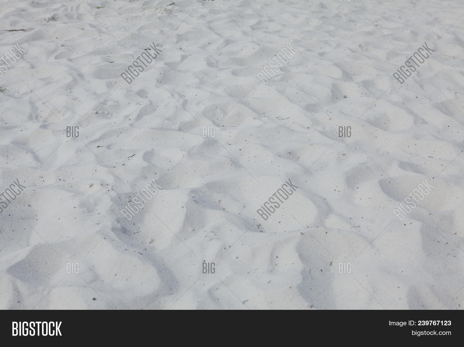 Sand Texture. Dirty Image & Photo (Free Trial) | Bigstock