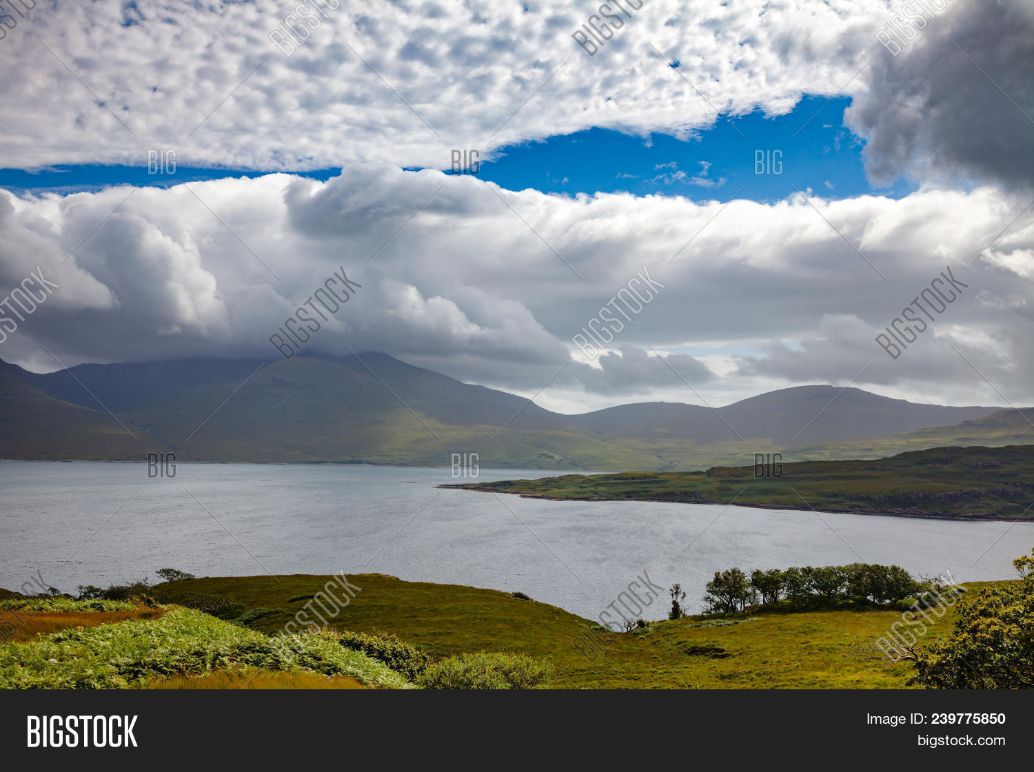 Scottish Summer Image & Photo (Free Trial) | Bigstock