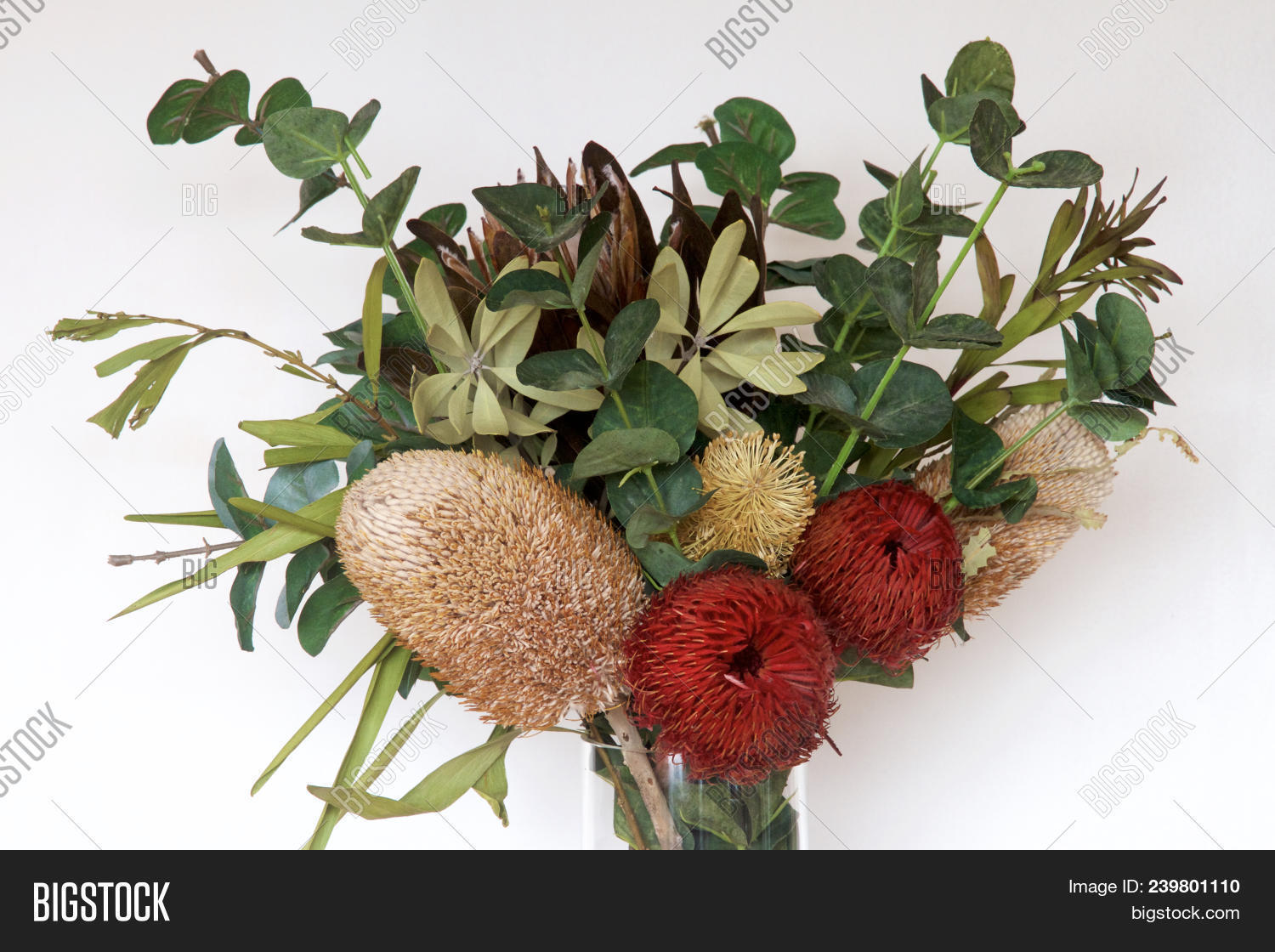 Vase Full Australian Image & Photo (Free Trial) | Bigstock
