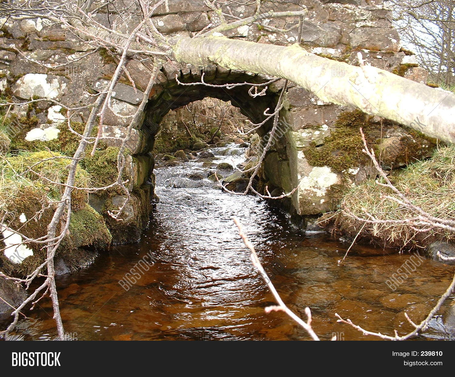 Bridging Stream Image & Photo (Free Trial) | Bigstock