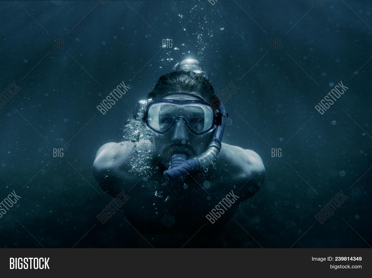 Freediver Young Man Image & Photo (Free Trial) | Bigstock