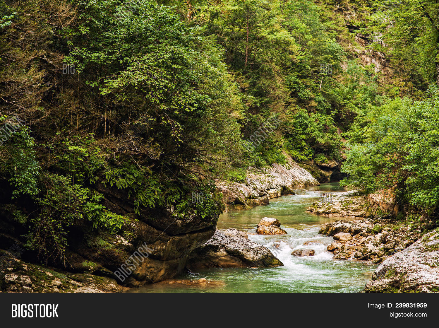 Quiet Backwater Stormy Image & Photo (Free Trial) | Bigstock