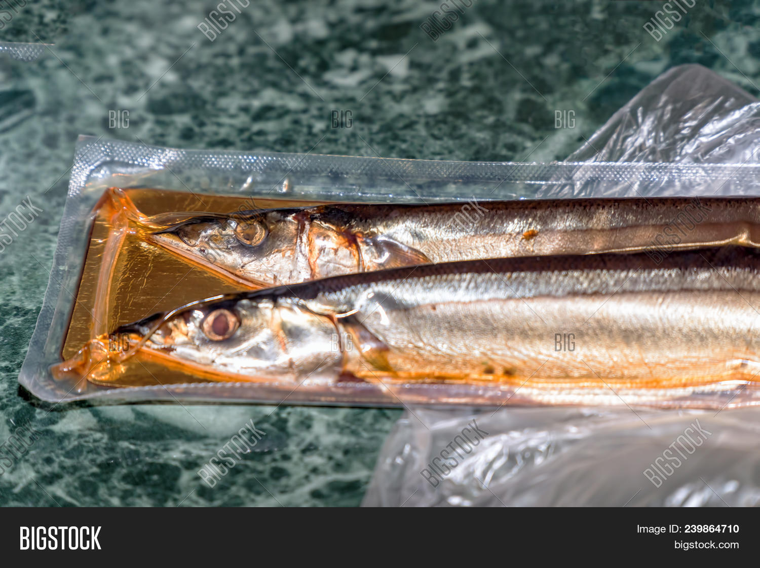 Sea Fish Saury Vacuum Image & Photo (Free Trial) | Bigstock